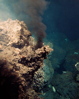 La Mer Blue Heart | Supporting Ocean Conservation Projects