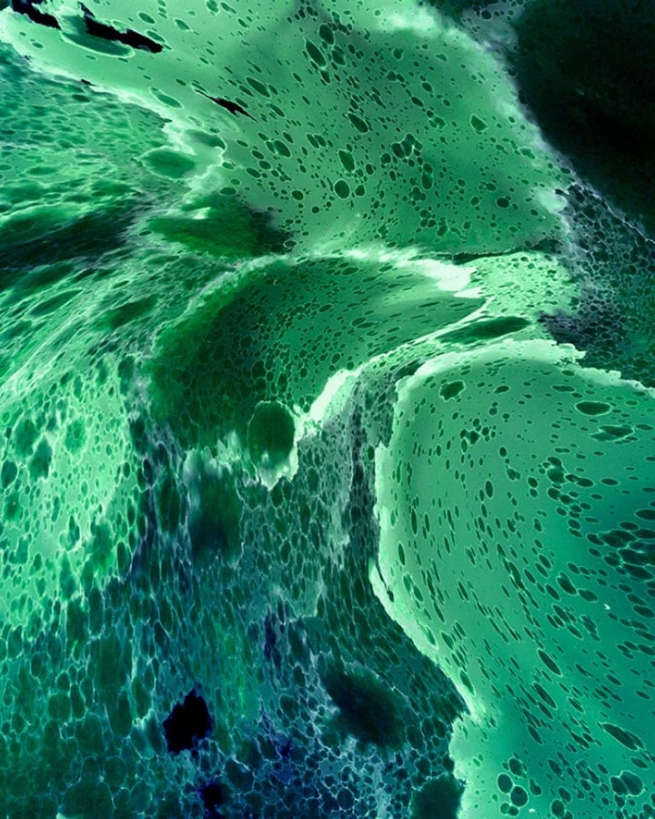 Our Ingredients | Ingredient Glossary | La Mer