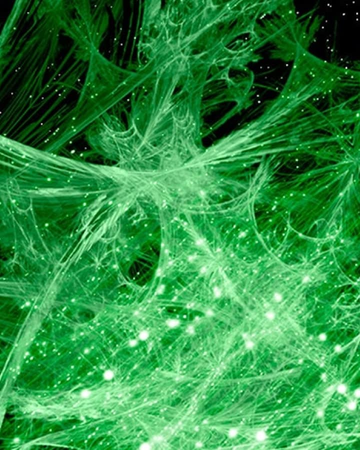 Our Ingredients | Ingredient Glossary | La Mer