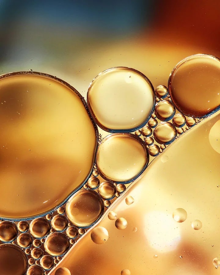 Our Ingredients | Ingredient Glossary | La Mer