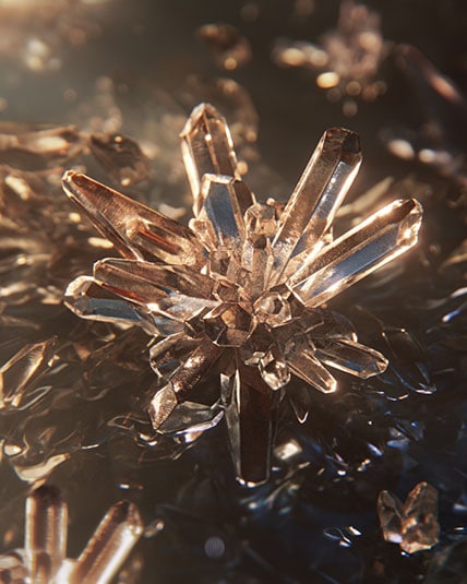 Our Ingredients | Ingredient Glossary | La Mer