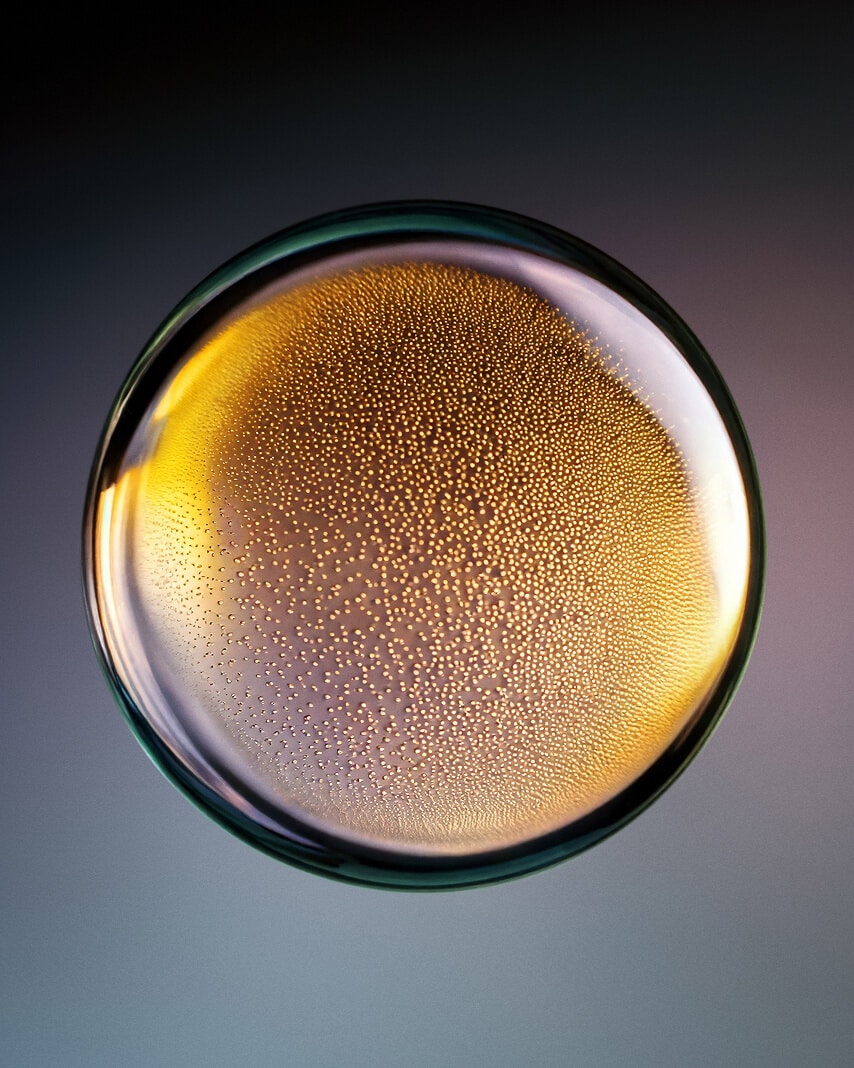 Our Ingredients | Ingredient Glossary | La Mer