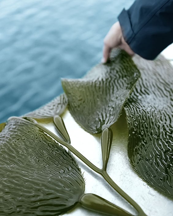 La Mer Blue Heart | Supporting Ocean Conservation Projects